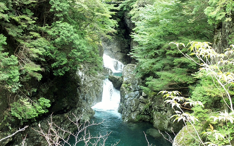 Area attractions - Kuboji Ryokan：Dorogawa Onsen Hot Spring